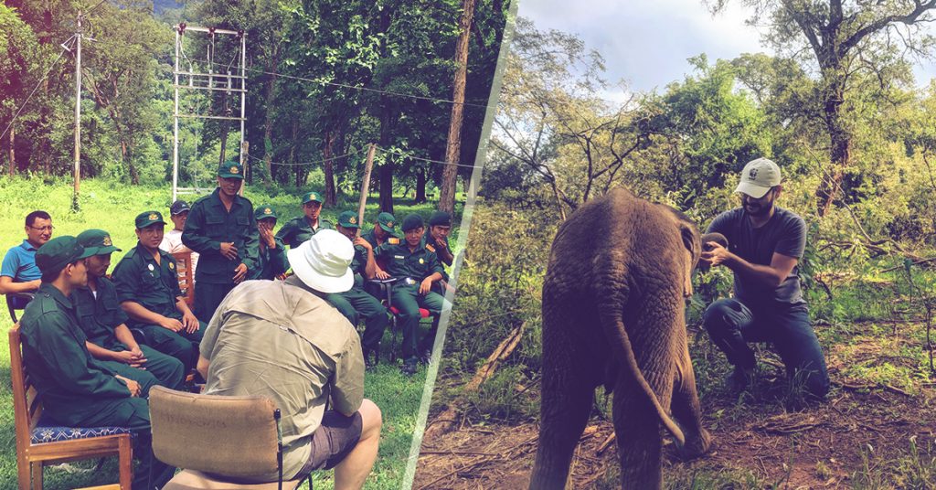 Saving Endangered Animals with WWF Part II | Viber